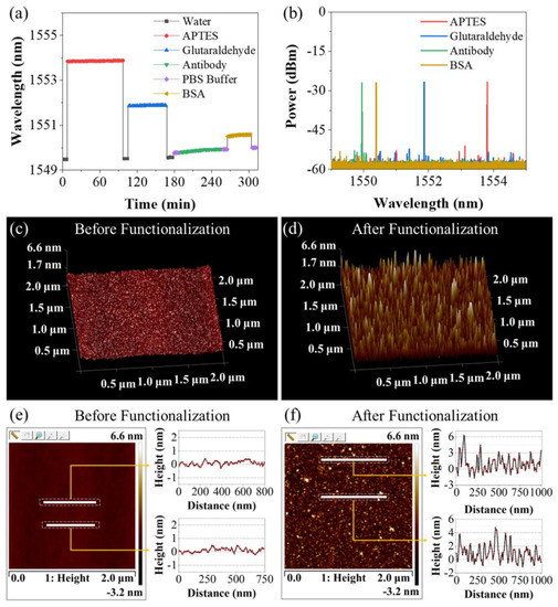 Fiber Laser-Based Lasso-Shaped Biosensor for High Precision Detection ...