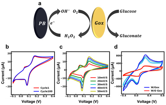 Screen-Printed Textile-Based Electrochemical Biosensor for Noninvasive ...