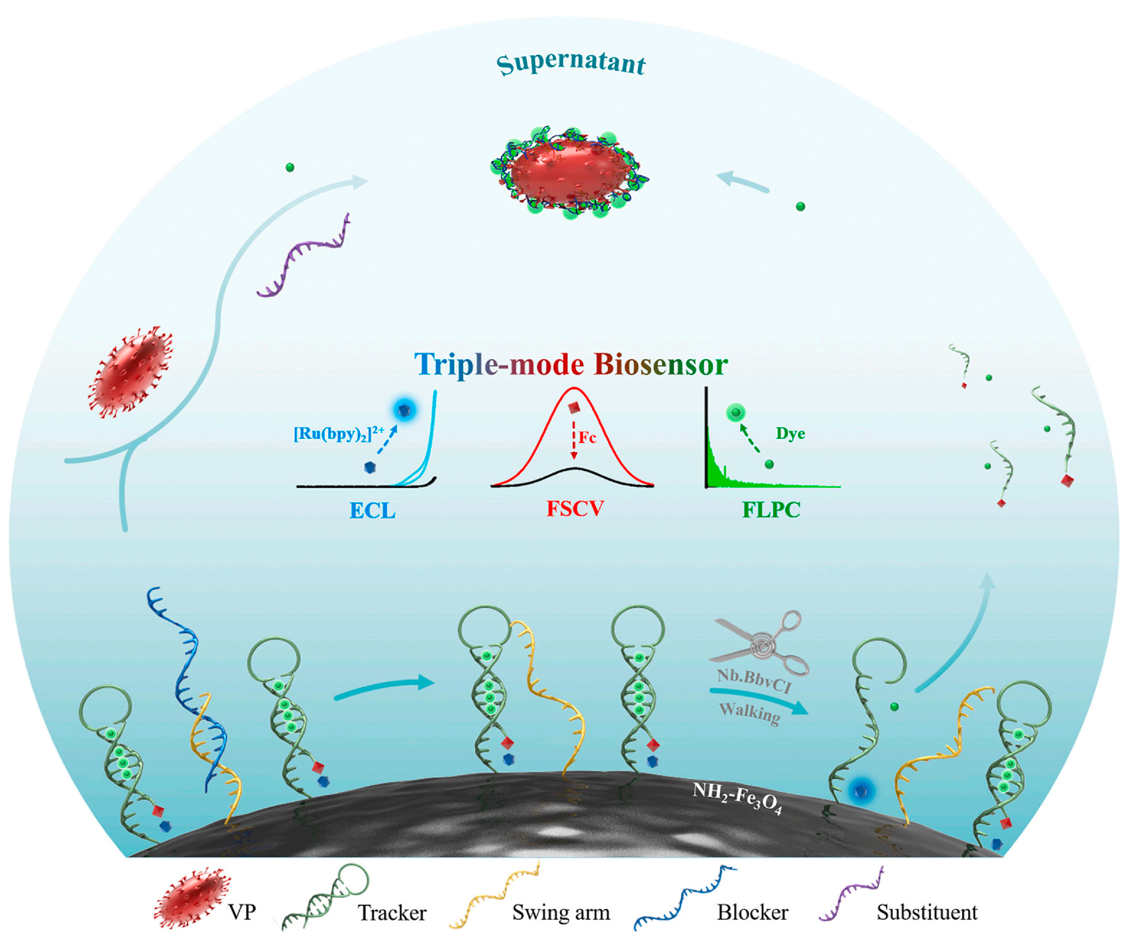 Recent Advances in the DNA-Mediated Multi-Mode Analytical Methods for ...
