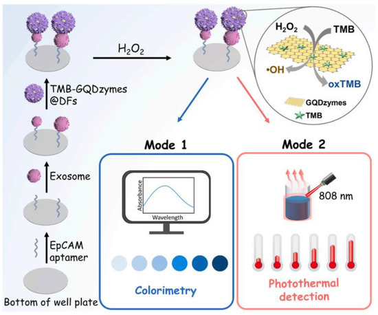 Recent Advances in the DNA-Mediated Multi-Mode Analytical Methods for ...