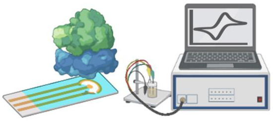 Multivariate Optimization of Electrochemical Biosensors for the ...