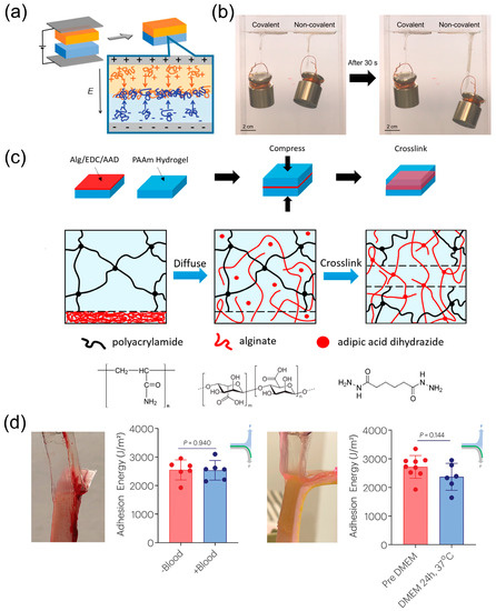 Hydrogel-Based Bioelectronics and Their Applications in Health Monitoring