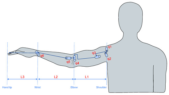 Multisensory Evaluation of Muscle Activity and Human Manipulability ...
