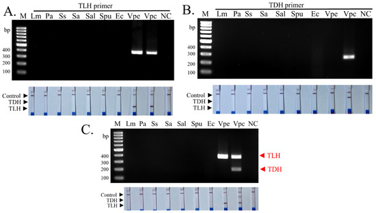Multiplex PCR-Lateral Flow Dipstick Method for Detection of ...