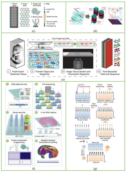 Spatial Omics Sequencing Based on Microfluidic Array Chips