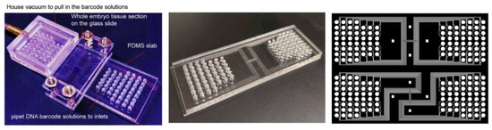 Spatial Omics Sequencing Based on Microfluidic Array Chips
