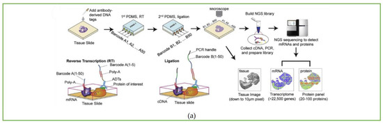 Spatial Omics Sequencing Based on Microfluidic Array Chips