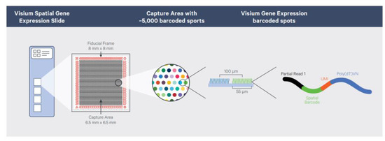 Spatial Omics Sequencing Based on Microfluidic Array Chips