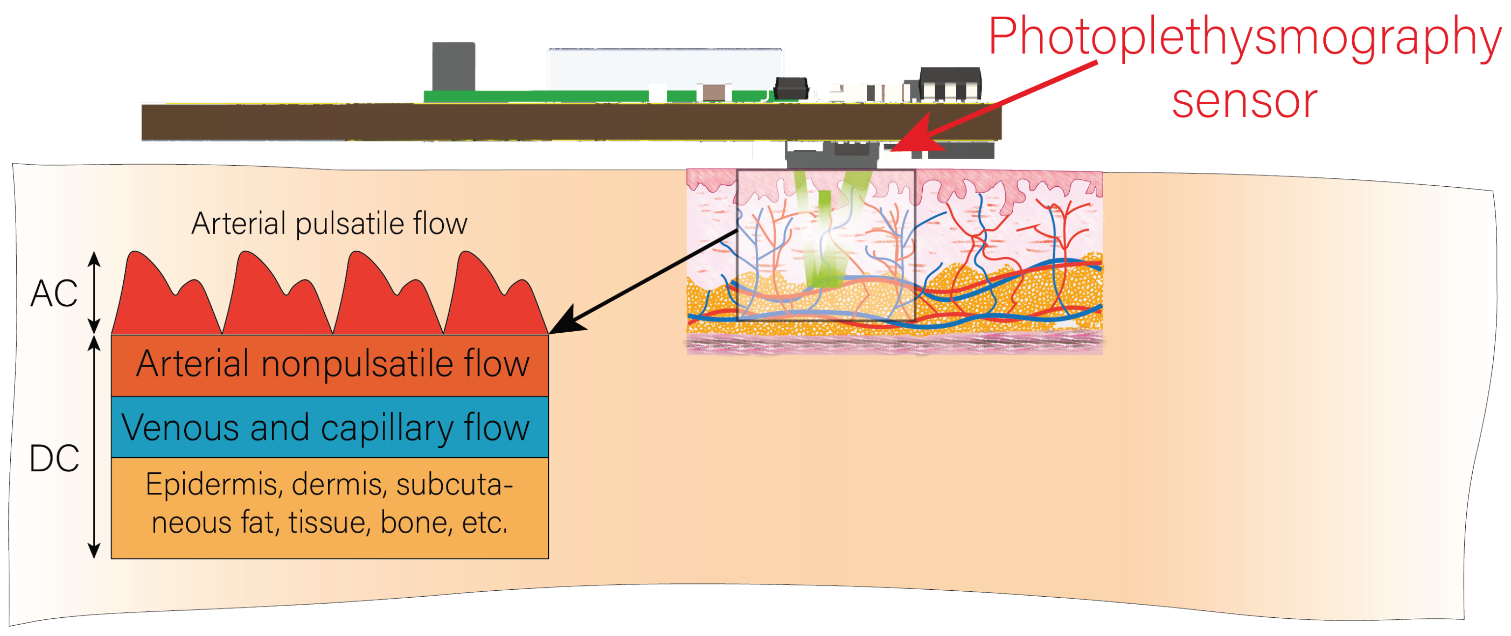 An ML-Based Approach to Reconstruct Heart Rate from PPG in Presence of ...