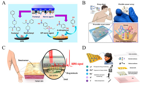 Biosensors | Free Full-Text | Revolutionizing Precision Medicine ...