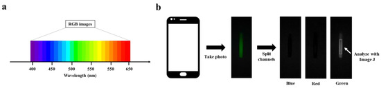 A Low-Cost Microfluidic-Based Detection Device for Rapid Identification ...