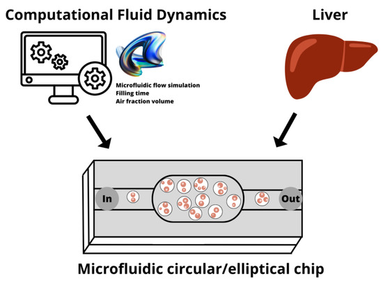 Design, Simulation, and Evaluation of Polymer-Based Microfluidic Devices via Computational Fluid ...