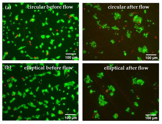 Design, Simulation, and Evaluation of Polymer-Based Microfluidic Devices via Computational Fluid ...