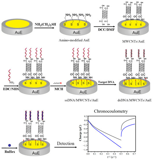 Multi-Walled Carbon Nanotube Array Modified Electrode with 3D Sensing ...