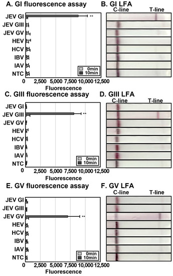 A CRISPR-Cas12a-Based Diagnostic Method for Japanese Encephalitis Virus ...