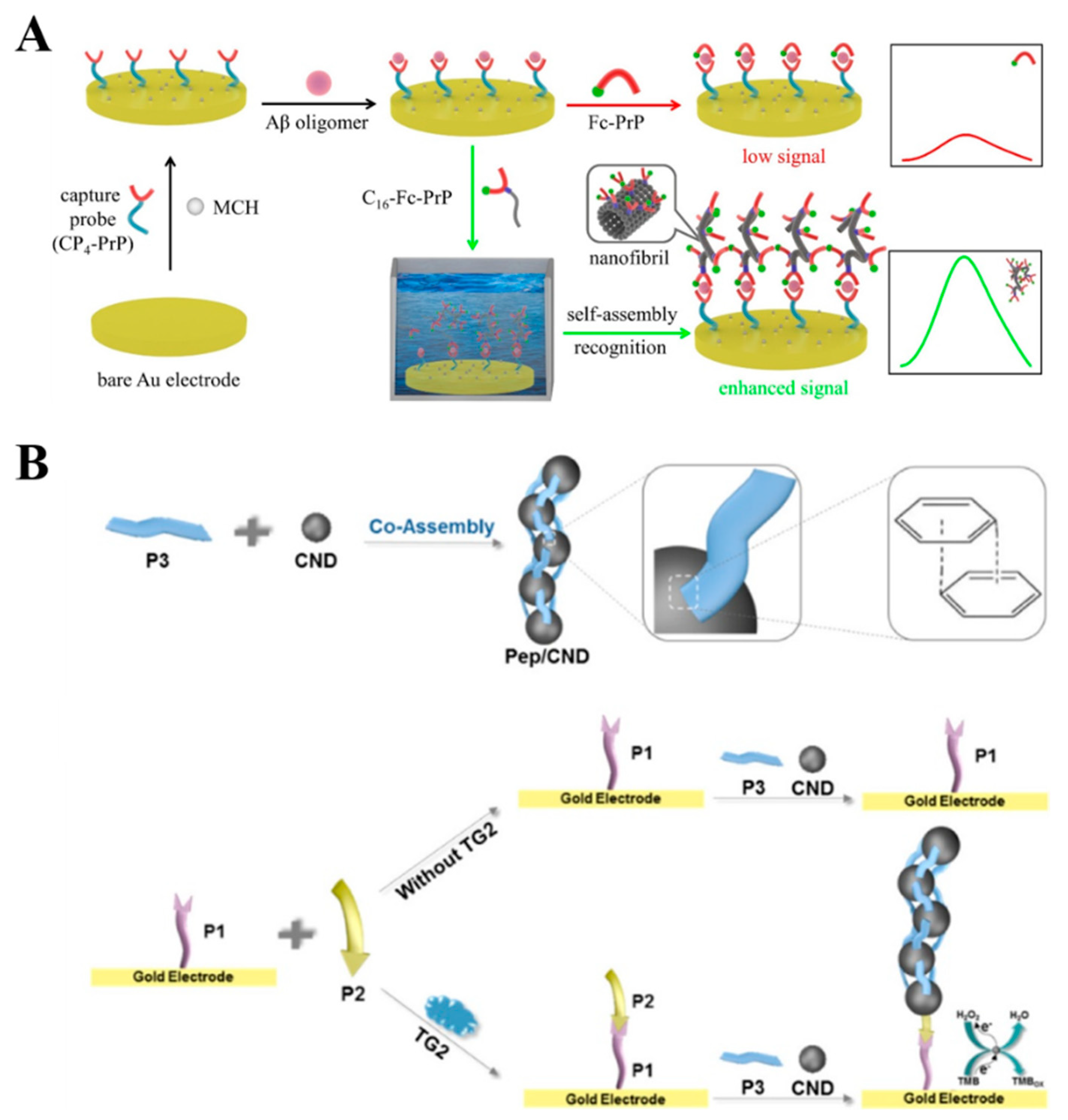 Advancements in Biosensors Based on the Assembles of Small Organic ...