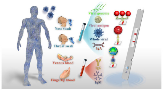 Recent Advances in Quantum Dot-Based Lateral Flow Immunoassays for the Rapid, Point-of-Care ...