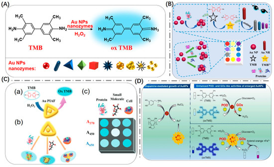 Chromogenic Mechanisms of Colorimetric Sensors Based on Gold Nanoparticles