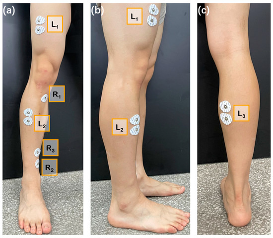 A Smartphone-Based sEMG Signal Analysis System for Human Action Recognition