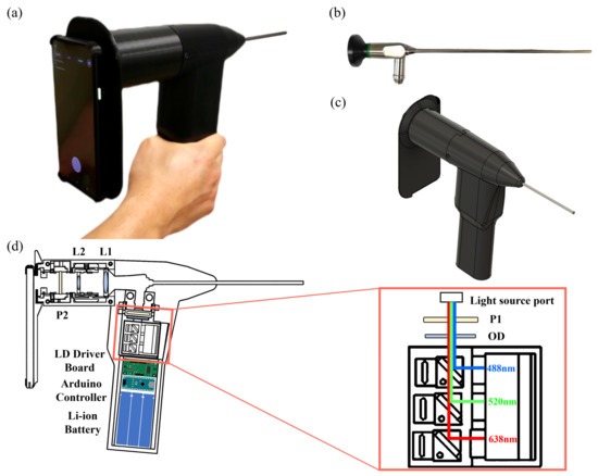 Smartphone-Based Rigid Endoscopy Device with Hemodynamic Response ...