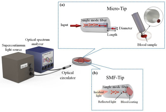 Fabry–Perot Interferometric Fiber-Optic Sensor for Rapid and Accurate ...