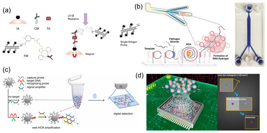 Biosensors | Free Full-Text | Microparticle-Based Detection of Viruses