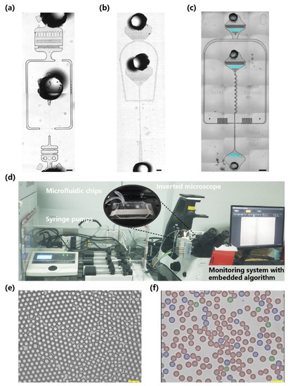 WSCNet: Biomedical Image Recognition for Cell Encapsulated Microfluidic ...