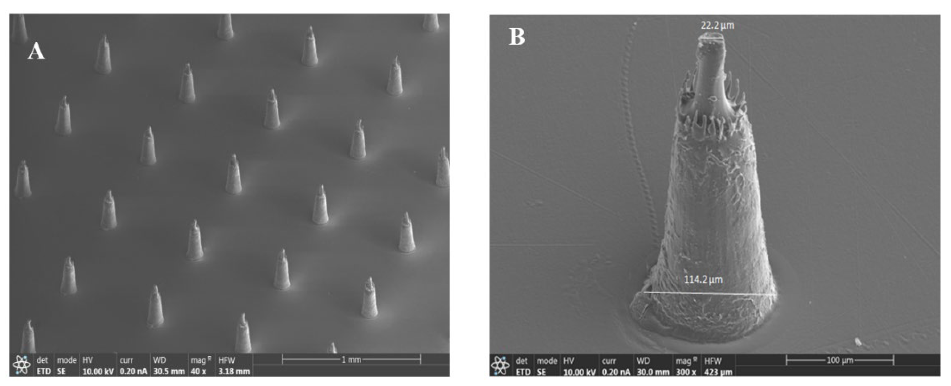 A Facile Method for the Fabrication of the Microneedle Electrode and ...