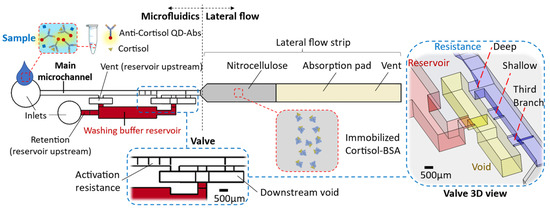 Coupling Capillary-Driven Microfluidics with Lateral Flow Immunoassay for Signal Enhancement