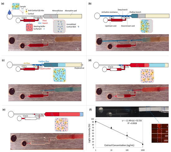 Coupling Capillary-Driven Microfluidics with Lateral Flow Immunoassay ...