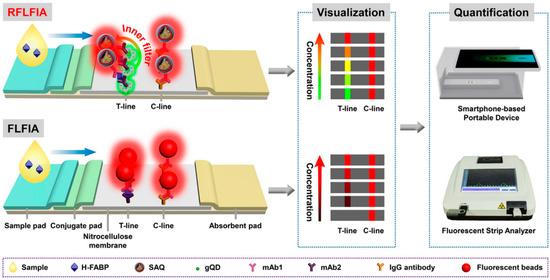 Lateral Flow Assay: A Summary of Recent Progress for Improving Assay ...