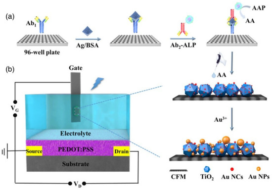 Progress in Electrochemical Immunosensors with Alkaline Phosphatase as ...