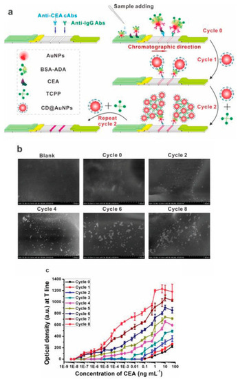 Post-Assay Chemical Enhancement for Highly Sensitive Lateral Flow ...