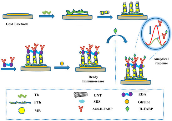 A Methylene Blue-Enhanced Nanostructured Electrochemical Immunosensor ...