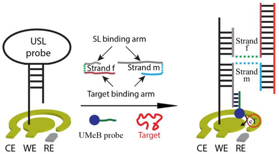 Cost-Effective Modular Biosensor for SARS-CoV-2 and Influenza A Detection
