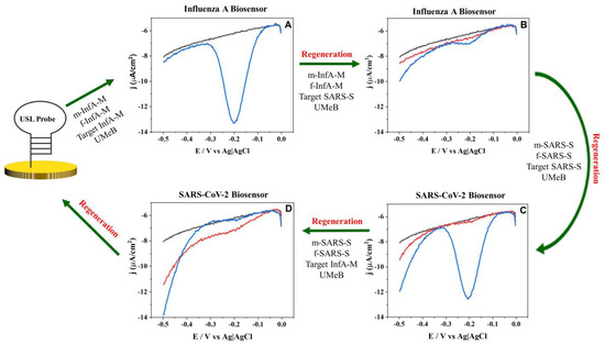 Cost-Effective Modular Biosensor for SARS-CoV-2 and Influenza A Detection