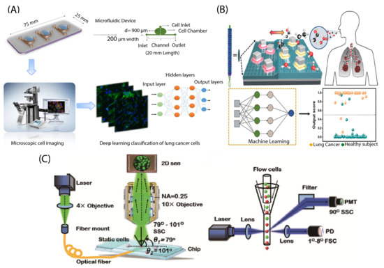 Biosensors | Free Full-Text | Advancing Healthcare: Synergizing ...