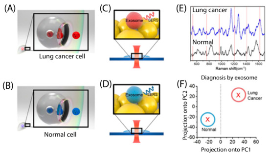 Biosensors | Free Full-Text | Advancing Healthcare: Synergizing ...