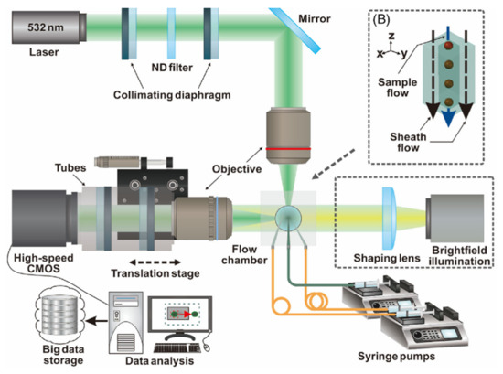 Biosensors | Free Full-Text | Advancing Healthcare: Synergizing ...