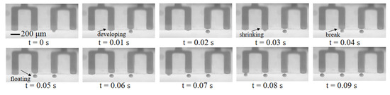 Establishment and Validation of an Integrated Microfluidic Step ...