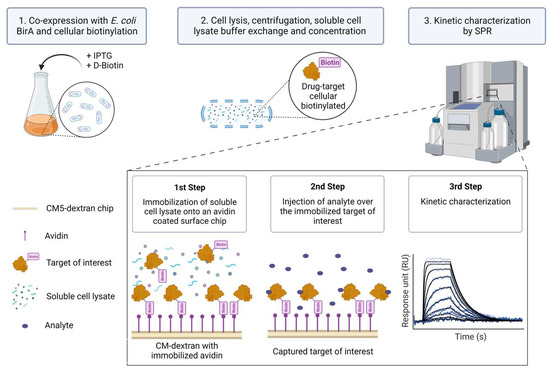 Extract2Chip—Bypassing Protein Purification in Drug Discovery Using ...