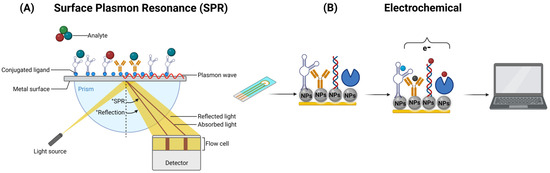 Emerging Applications of Nanobiosensors in Pathogen Detection in Water ...