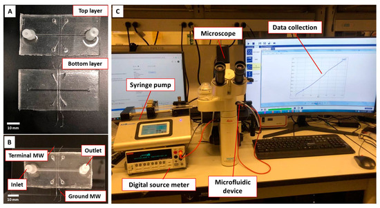 Microfluidic Sensor Based on Cell-Imprinted Polymer-Coated Microwires ...