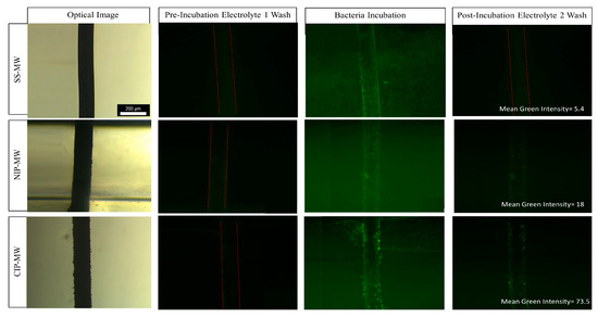 Microfluidic Sensor Based on Cell-Imprinted Polymer-Coated Microwires ...