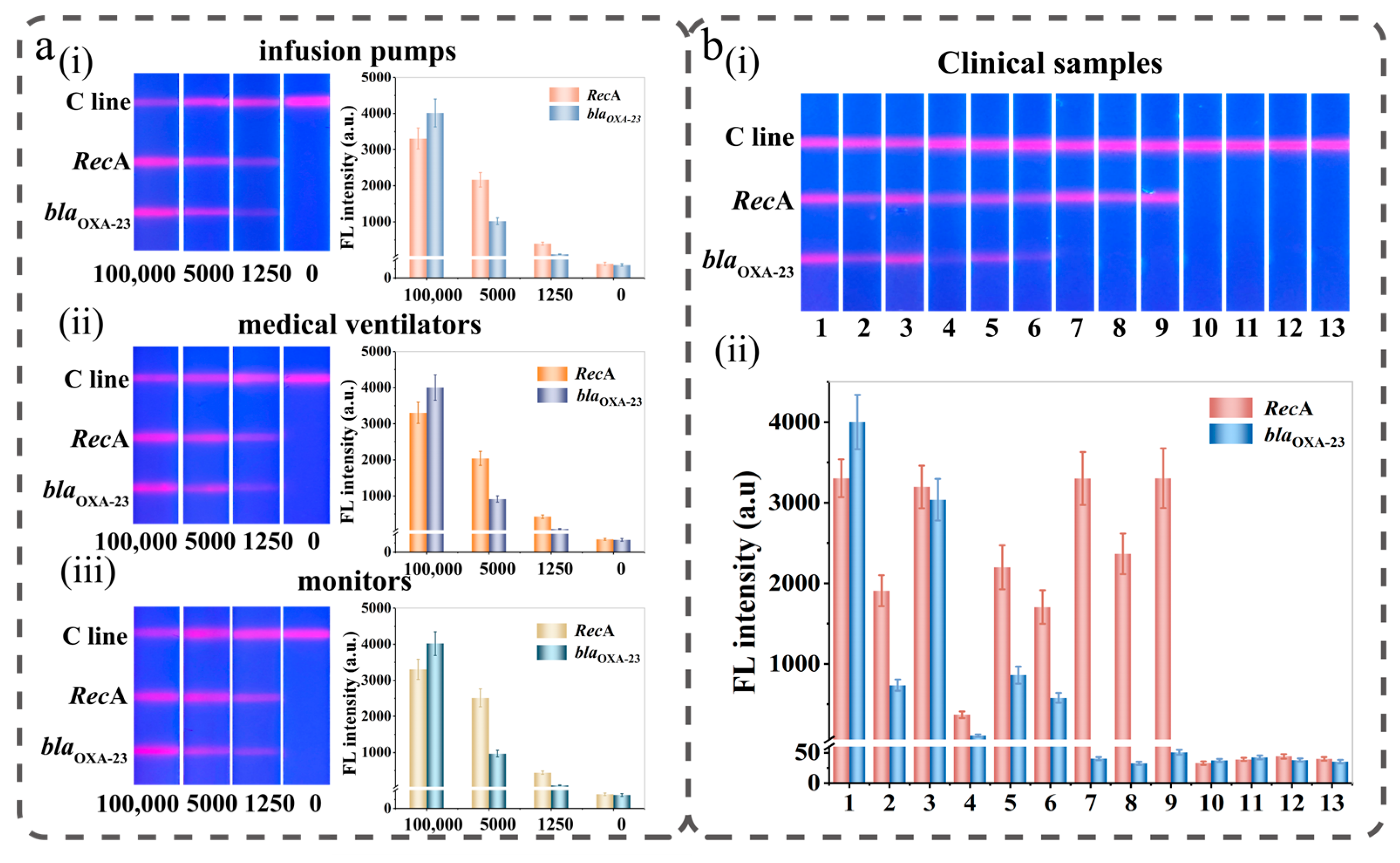 Biosensors | Free Full-Text | Isothermal Amplification and Hypersensitive Fluorescence Dual ...