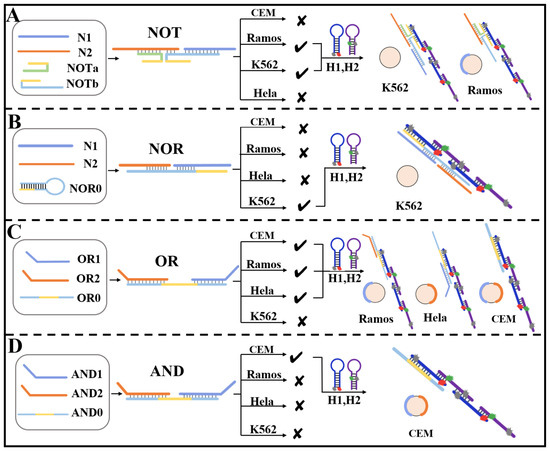 Biosensors | Free Full-Text | The Amplified DNA Logic Gates Based on ...