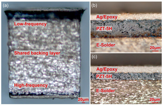 A Backing-Layer-Shared Miniature Dual-Frequency Ultrasound Probe for ...