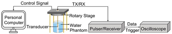 A Backing-Layer-Shared Miniature Dual-Frequency Ultrasound Probe for ...