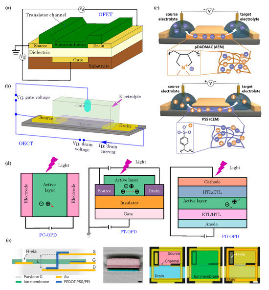 Organic Electronics in Biosensing: A Promising Frontier for Medical and ...