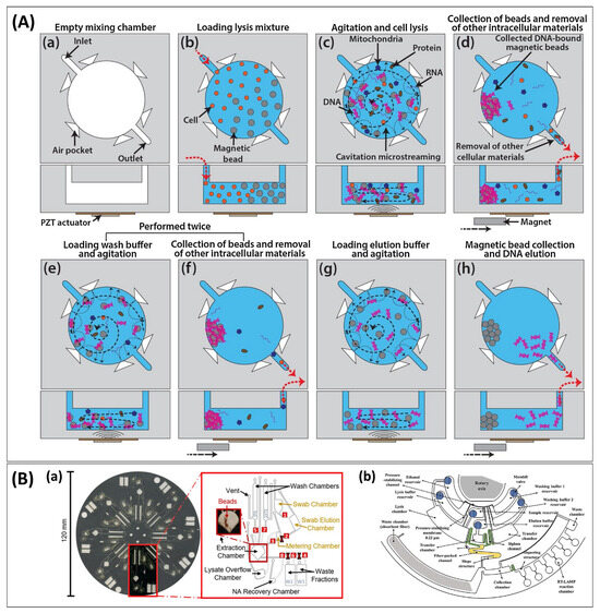 Chemical Trends in Sample Preparation for Nucleic Acid Amplification ...